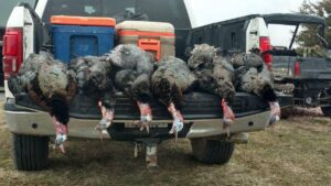 What is a Turkey Grand Slam? 4 Subspecies You Need to Know